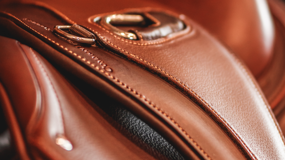 Collections | CommonWealth Saddles